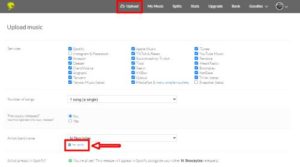 How To Add A Second Artist In DistroKid