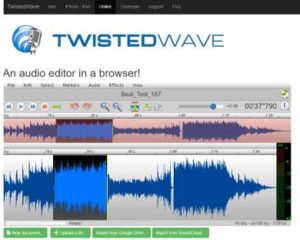 Is TwistedWave Good? A Comprehensive Review - umm... tone?